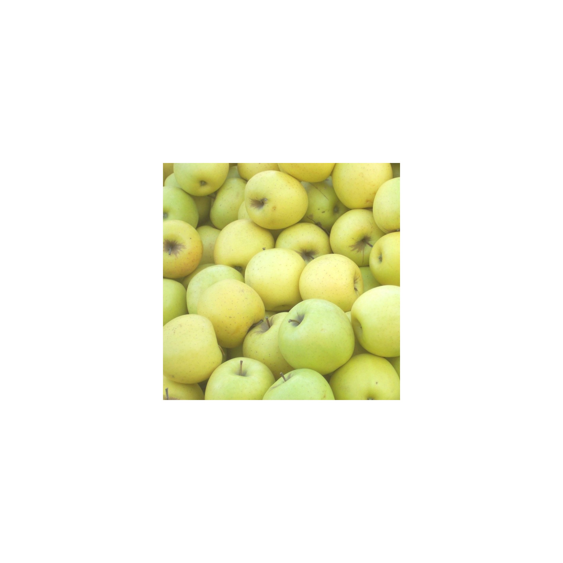 Mar Golden Delicious